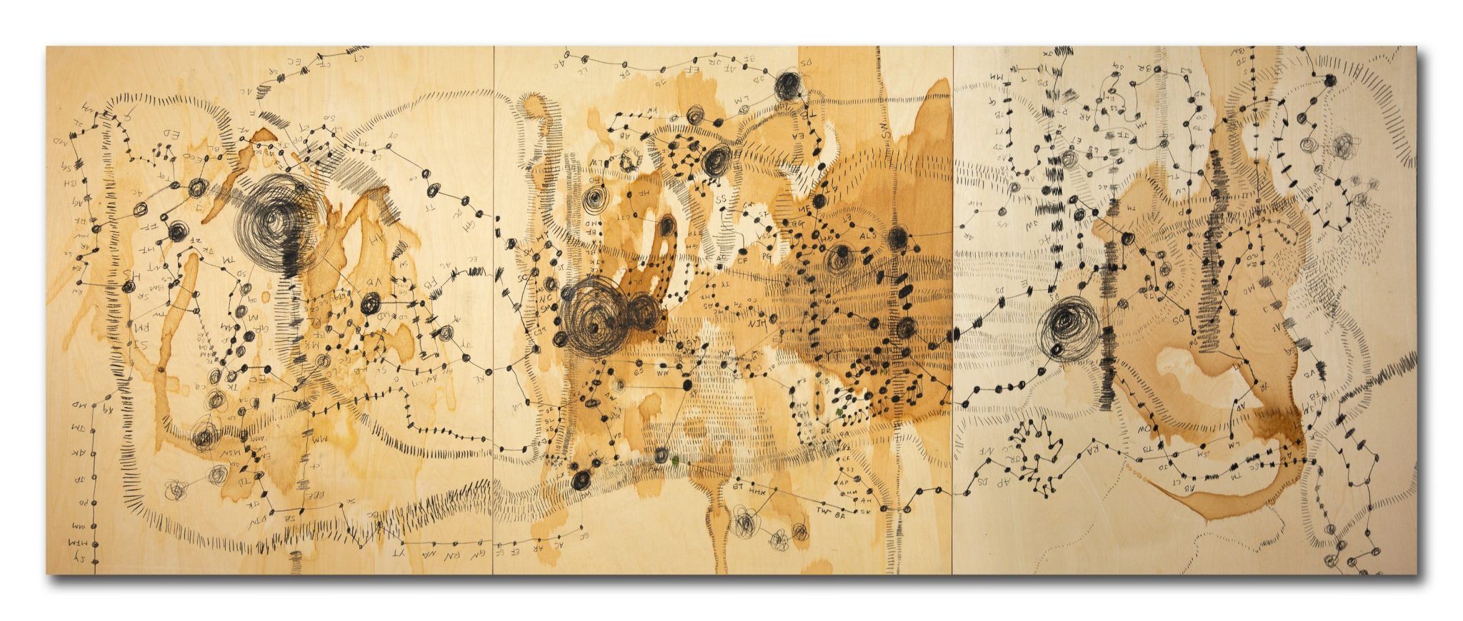 Pouring Tea with Jingwei Bu | Colour Box Studio