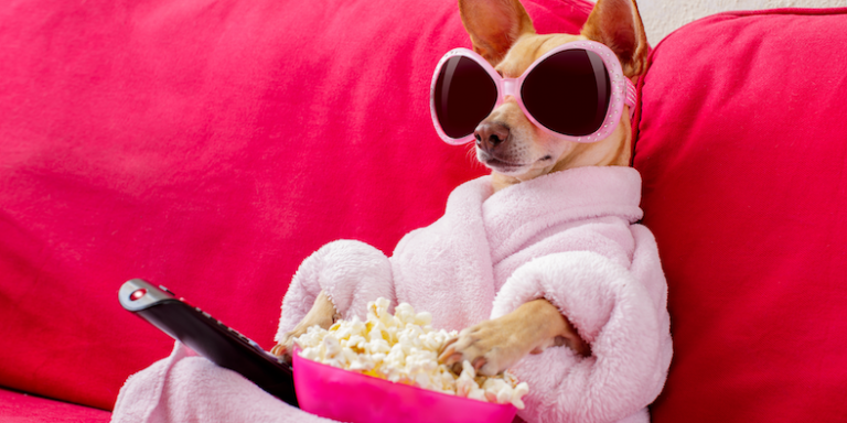 11 Web Series You Should Binge Right Now - A Colour Box Studio Curated ...