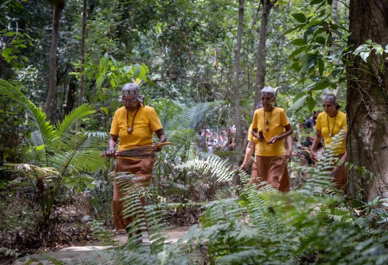 Reimagining Ancestral Practices with Lia Pa'apa'a | Colour Box Studio